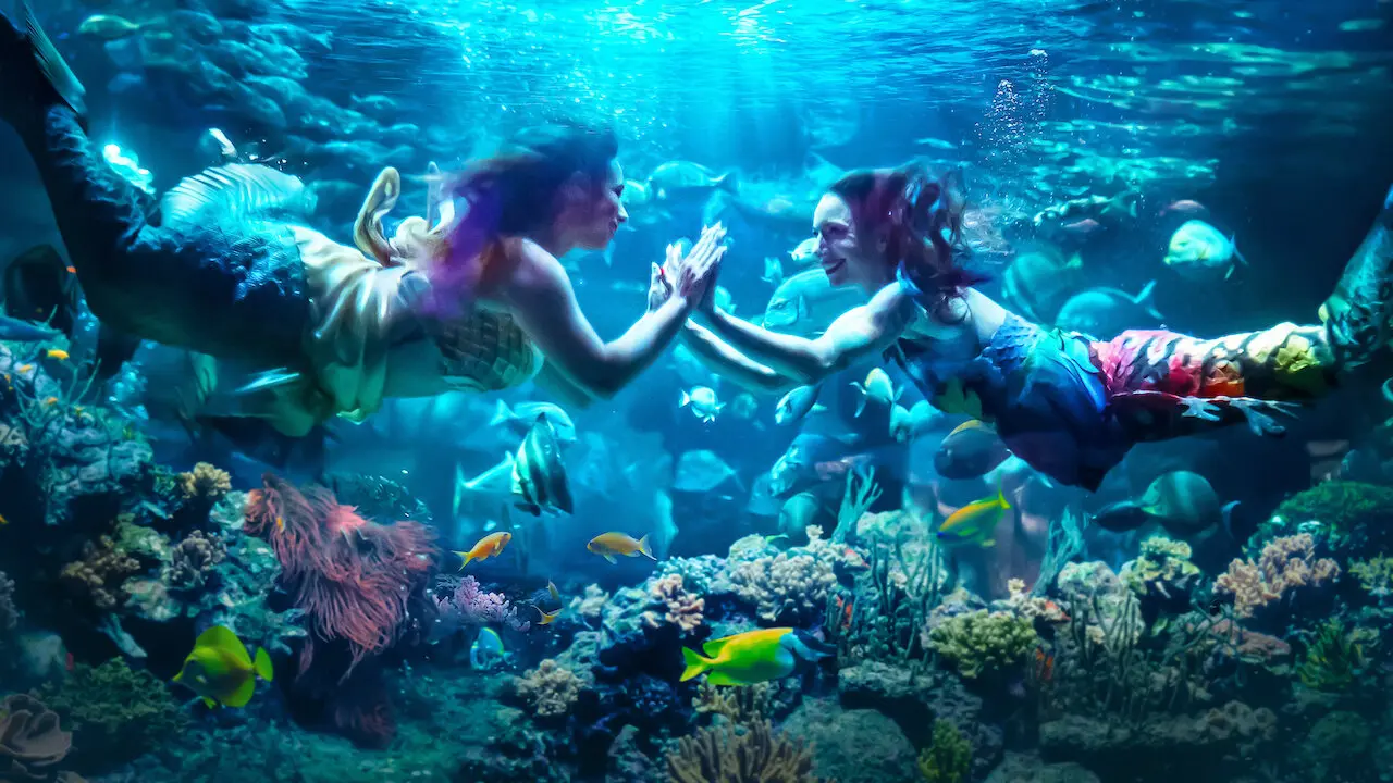 Sirenas En Netflix: ¿Realidad O Ficción? 🧜‍♀️🌊 | Basado En Hechos Reales