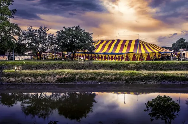 Historias Reales Del Circo: Desde La Antigua Roma Hasta La Modernidad ...